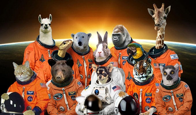 Astrobiologi: Eksplorasi Luar Angkasa Berbasis Biologi