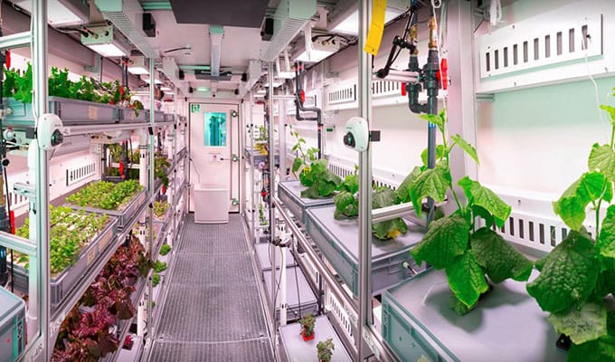 Astrobiologi: Eksplorasi Luar Angkasa Berbasis Biologi